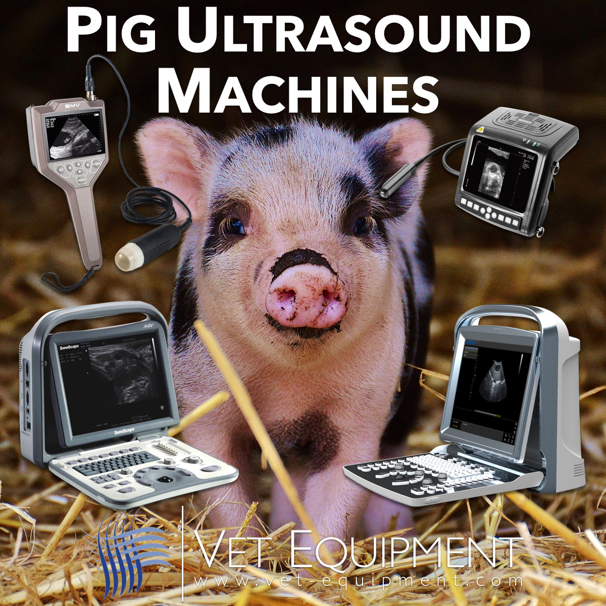 Pig, Swine Ultrasounds – Tagged "SonoScape A6V" – KeeboVet Veterinary ...